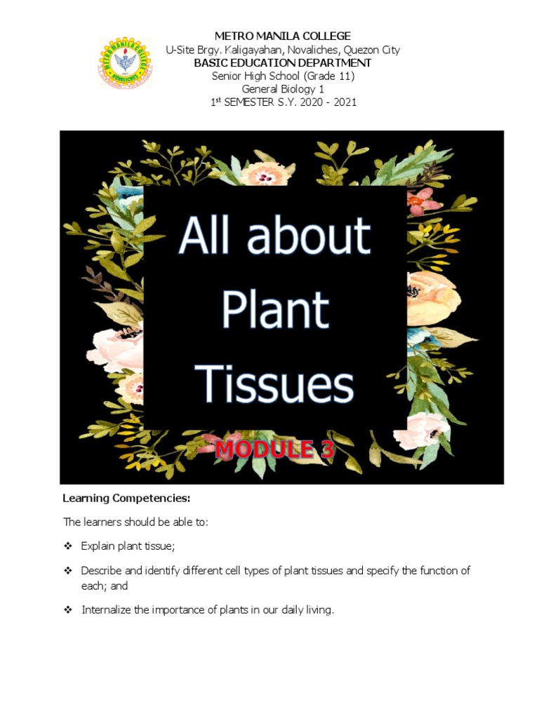 General Biology Module 3 | PDF | Tissue (Biology) | Plant Stem