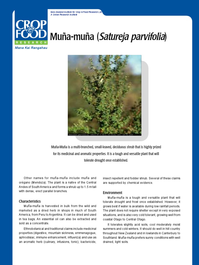 136 Munamuna | PDF | Plants | Tillage