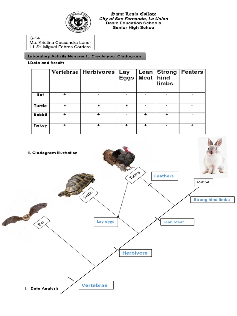 Cladogram | PDF | Species | Rabbit