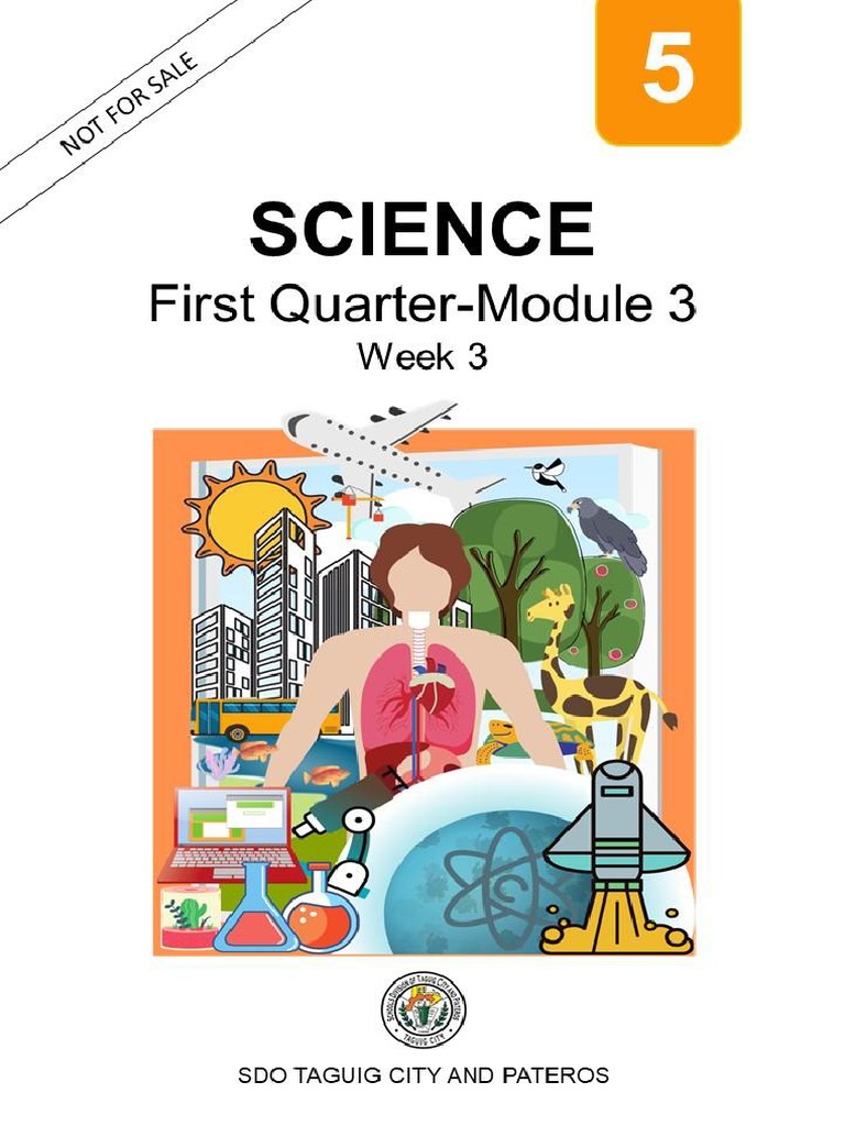 Science Module: Physical & Chemical Changes | PDF | Learning | Water