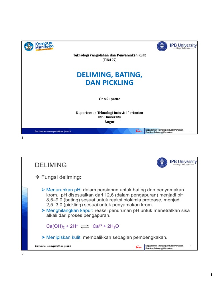 9-Deliming, Bating Pickling - Ind | PDF