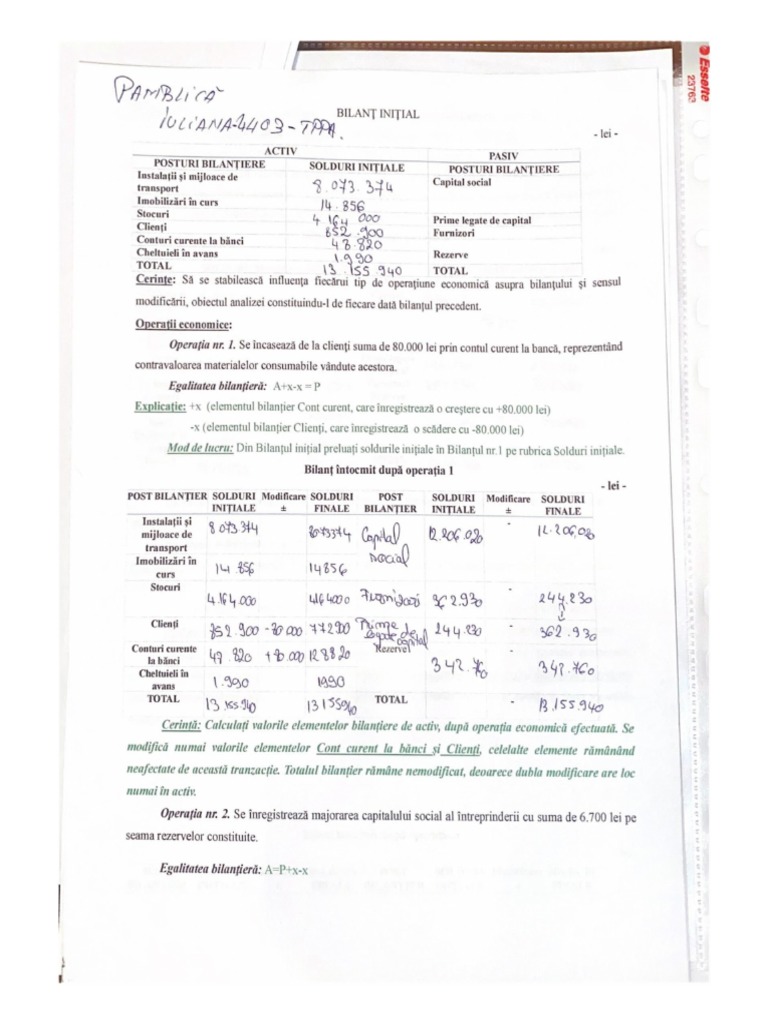 Bilant Initial | PDF
