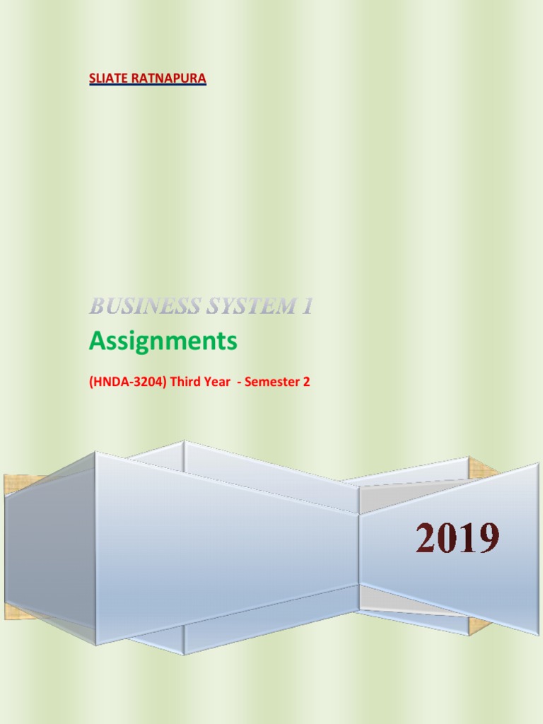 Business System Assignment | PDF | Information System | System