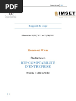 Rapport de Stage STB | PDF | Banques | Tunisie