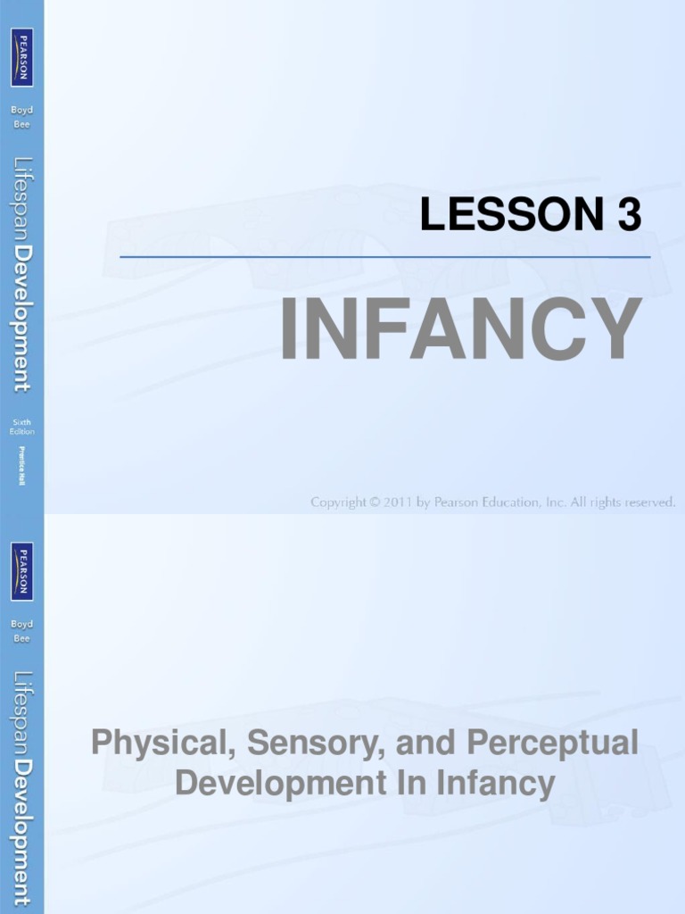 Lesson 2 - Infancy | PDF | Attachment Theory | Brain
