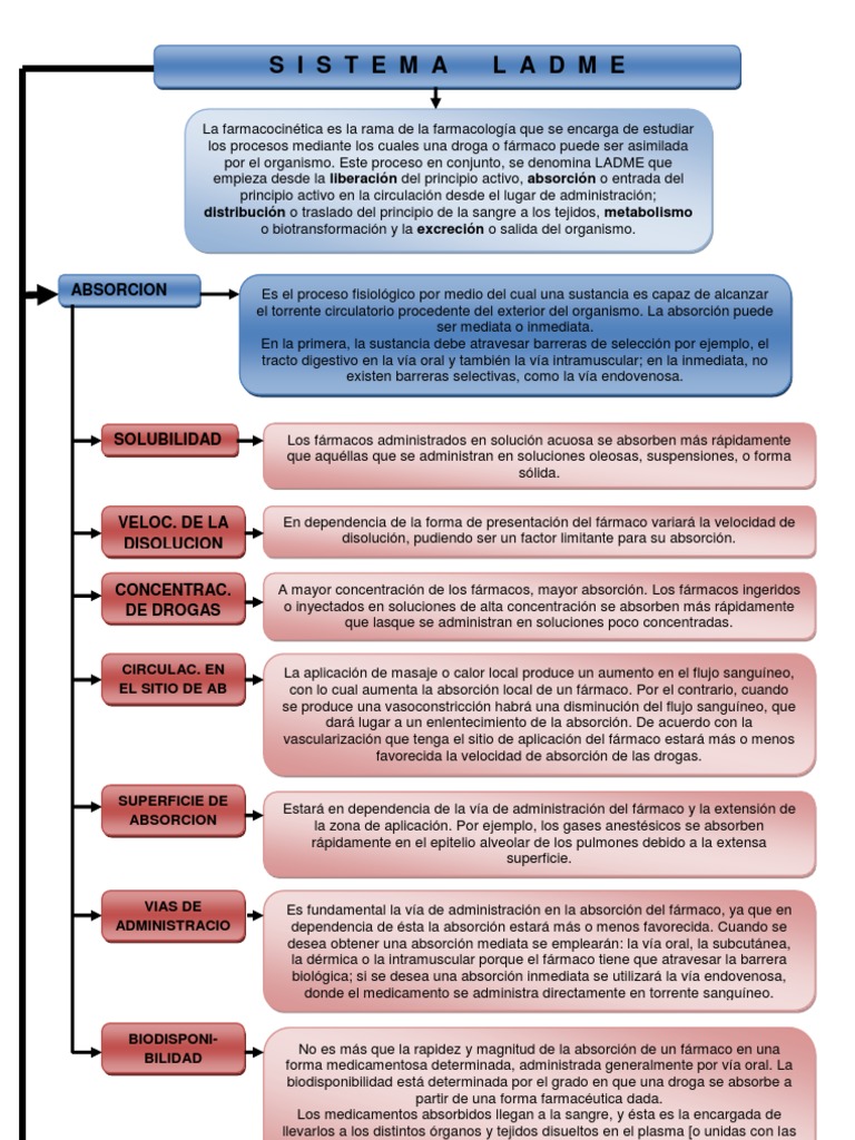Sistema Ladme Farmacologia | PDF | Farmacología | Biotransformación