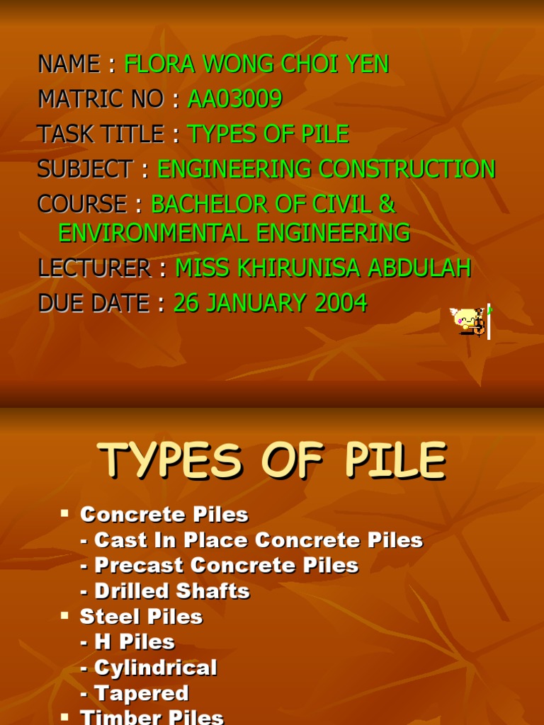 Types of Piles | PDF | Deep Foundation | Economic Sectors