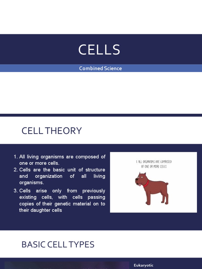 Cell Theory and Cell Structure | PDF | Cell (Biology) | Cytoskeleton
