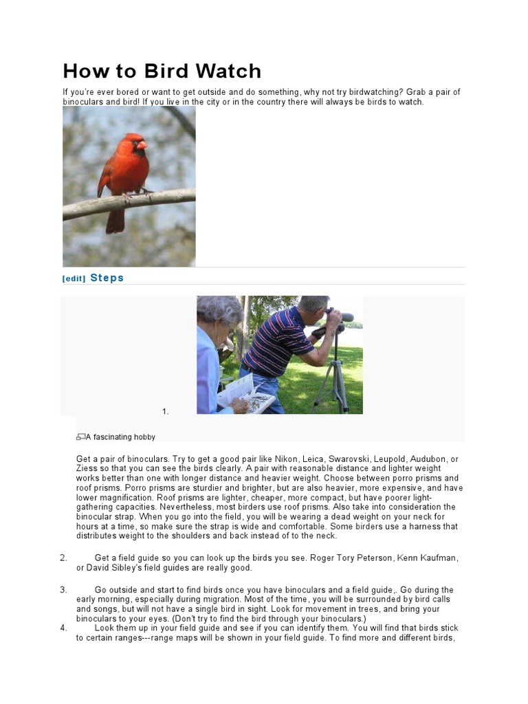 How To Bird Watch | PDF | Birdwatching | Birds