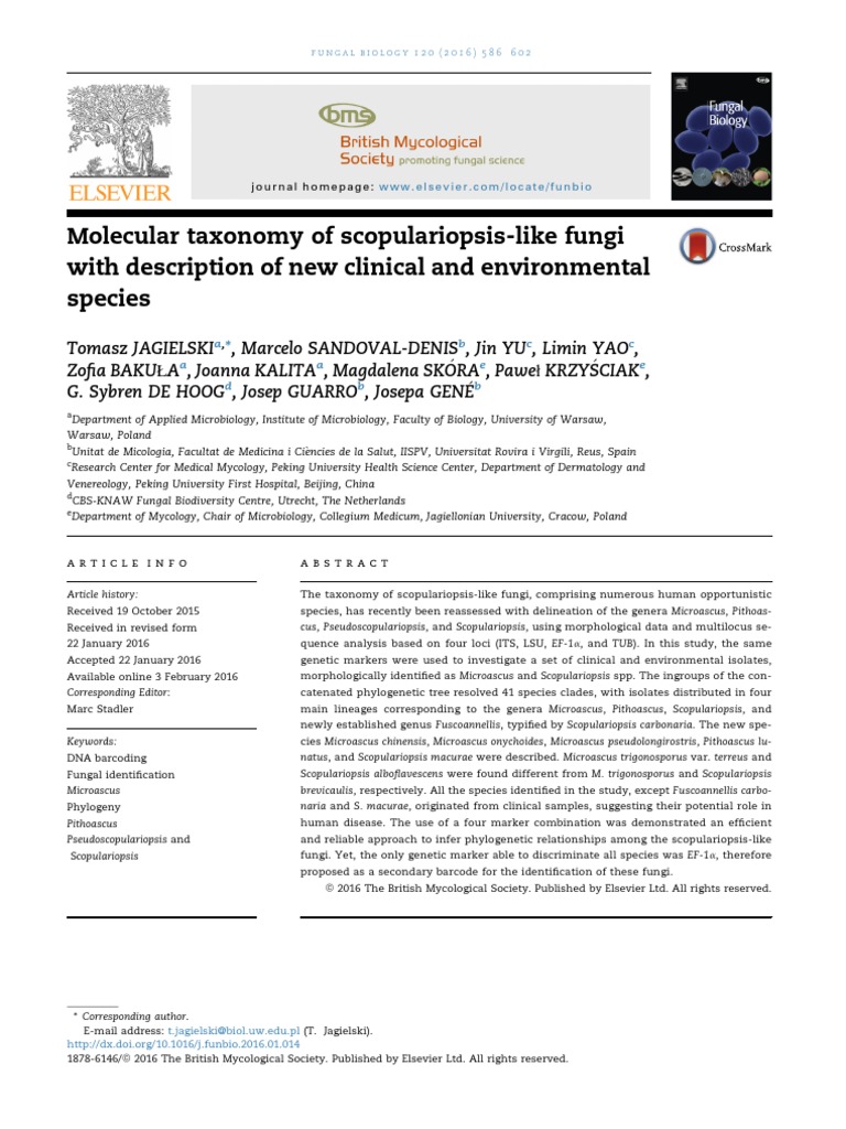 Molecular Taxonomy of Scopulariopsis-Like Fungi With Description of New ...