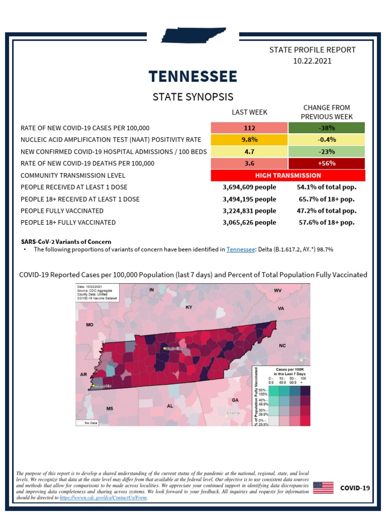 Tennessee State Profile Report 20211022 Public | PDF | Pediatrics ...