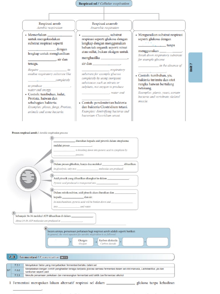 Nilam Bio Form 4 Chapter 7 | PDF