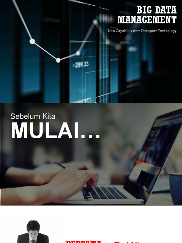 Big Data Management Pdf