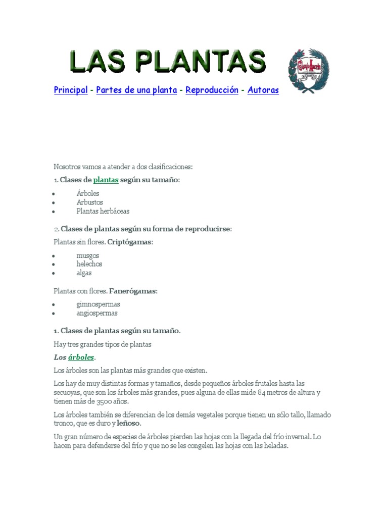 Plantas | PDF | Plantas | Arboles