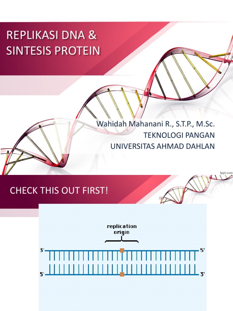 Replikasi DNA Dan Sintesis Protein (Gabungan) | PDF | Translation ...