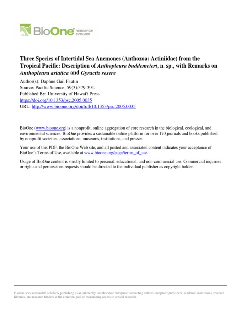 Three Species of Intertidal Sea Anemones (Anthozoa: Actiniidae) From ...