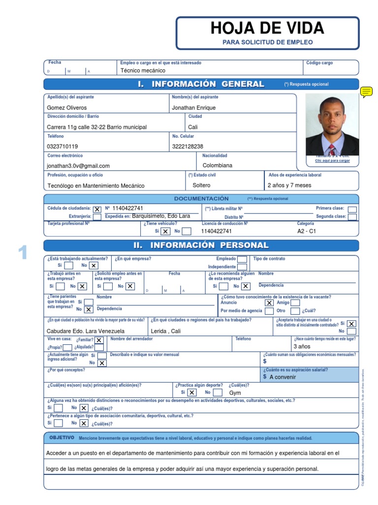 Hoja-De-Vida-Minerva Actualizado 2 | PDF | Economias