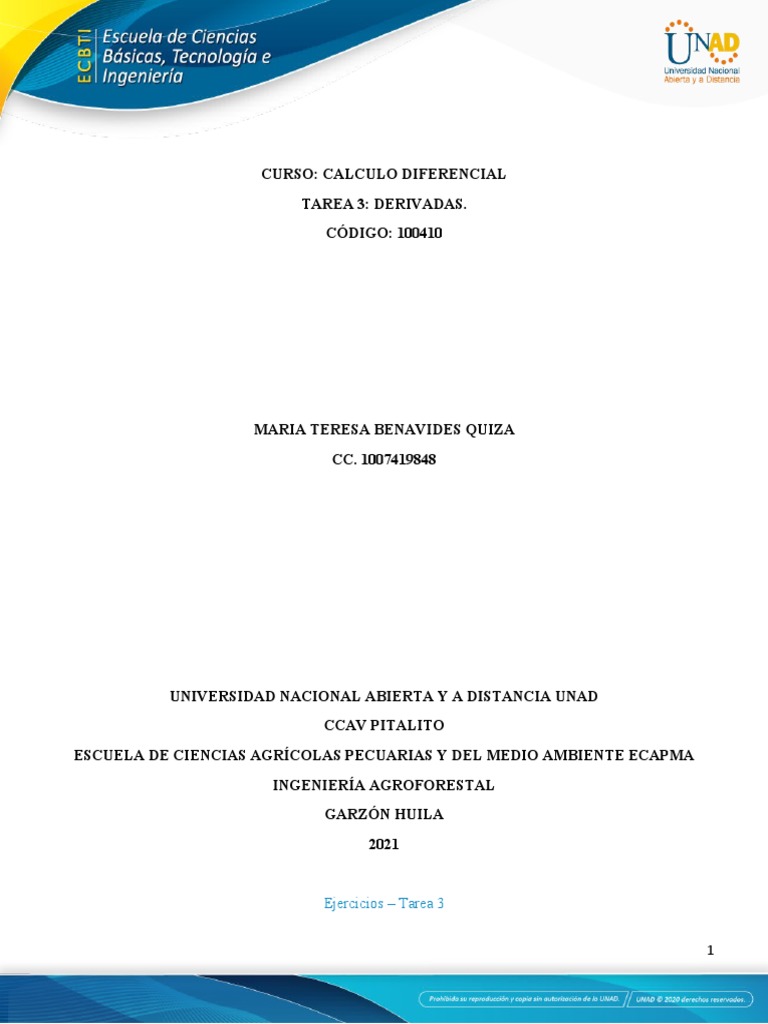 Anexo 3 - Ejercicios Tarea 3 | PDF | Derivado | Conceptos matemáticos