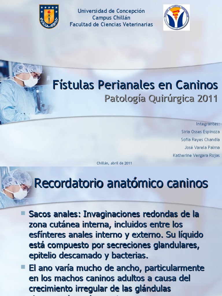 Fistulas Perianales en Perros | PDF | Curación | Cuidado de la salud