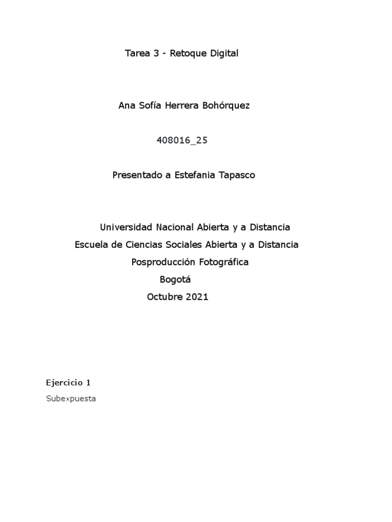 Tarea 3 - Retoque Digital-Convertido-Comprimido | PDF