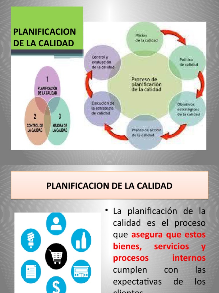 Planificacion de La Calidad | PDF | Calidad (comercial) | Planificación