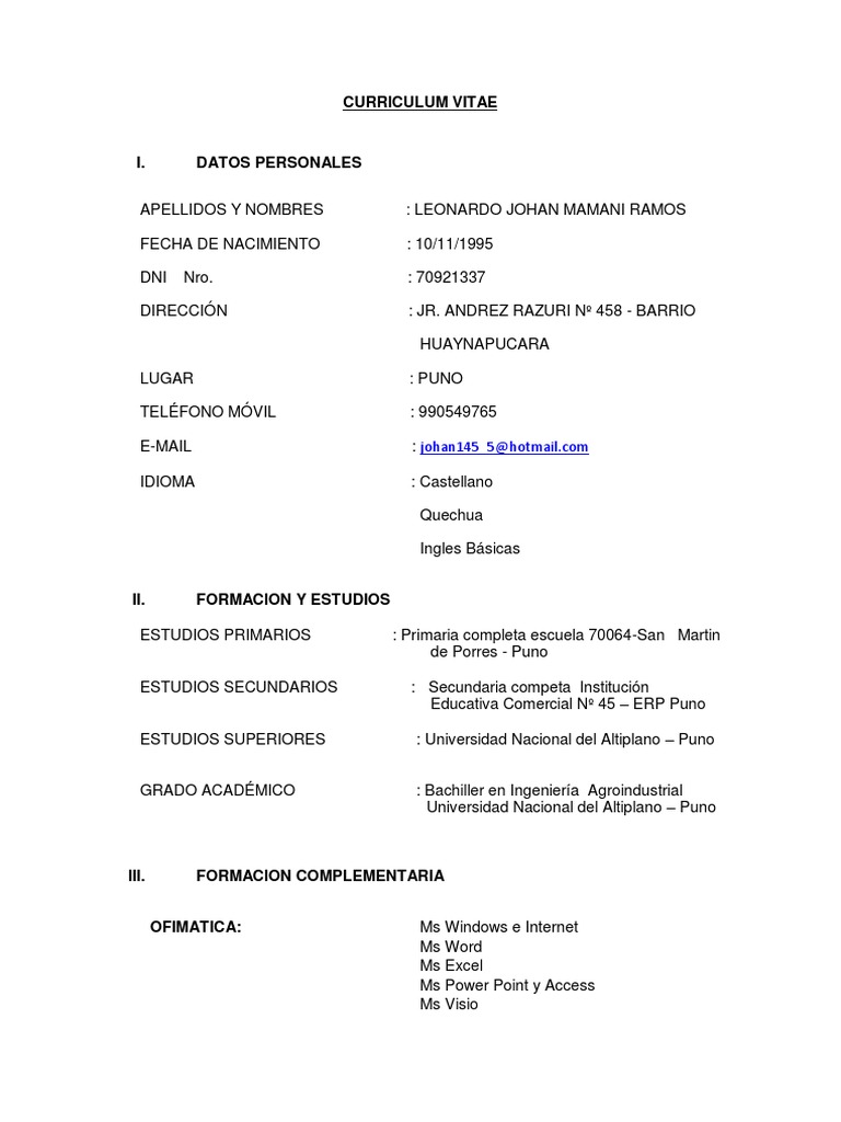 Currículum Vitae de Leonardo Mamani | PDF | Perú | Educación Secundaria
