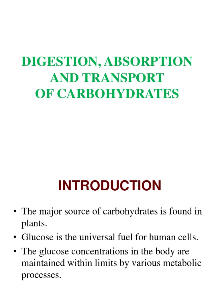 Carbohydrate Digestion & Absorption | PDF | Digestion | Carbohydrates