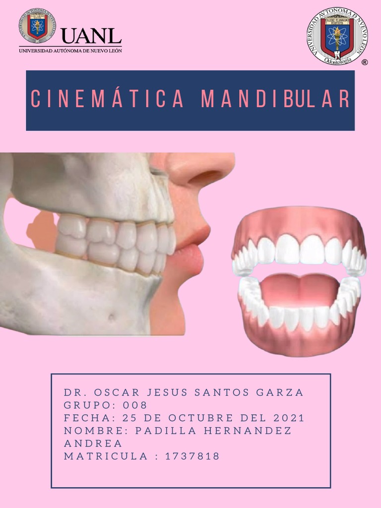 Cinemática Mandibular y Diagrama de Posselt | PDF | Hogar, jardinería y ...