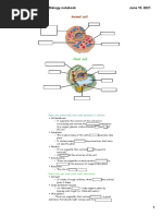 IGCSE Biology - Typical Exam Questions and Worked Examples | PDF ...