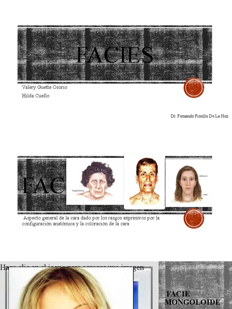 Tipos de facies y sus características | PDF | Anatomía humana