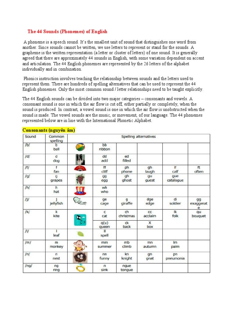 The 44 Phonemes of English Explained | PDF | Language Arts & Discipline ...