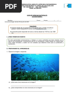 Clasificacion de Grannum | PDF | Placenta | Parto