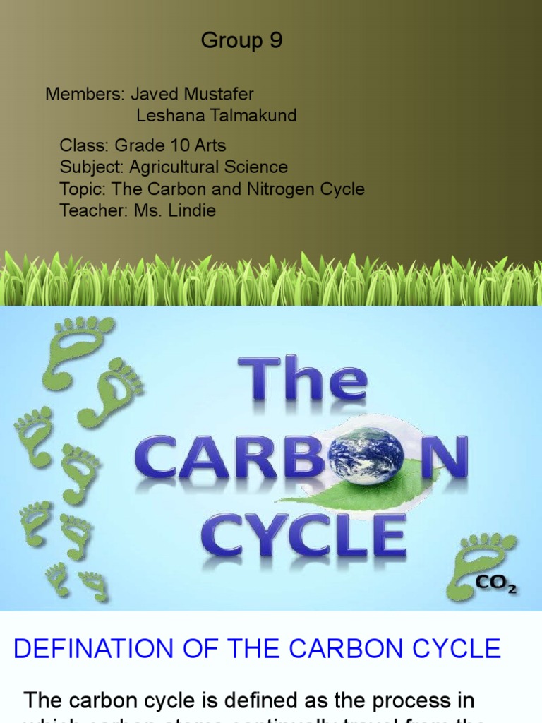 Carbon Cycle | PDF | Earth Sciences | Systems Ecology