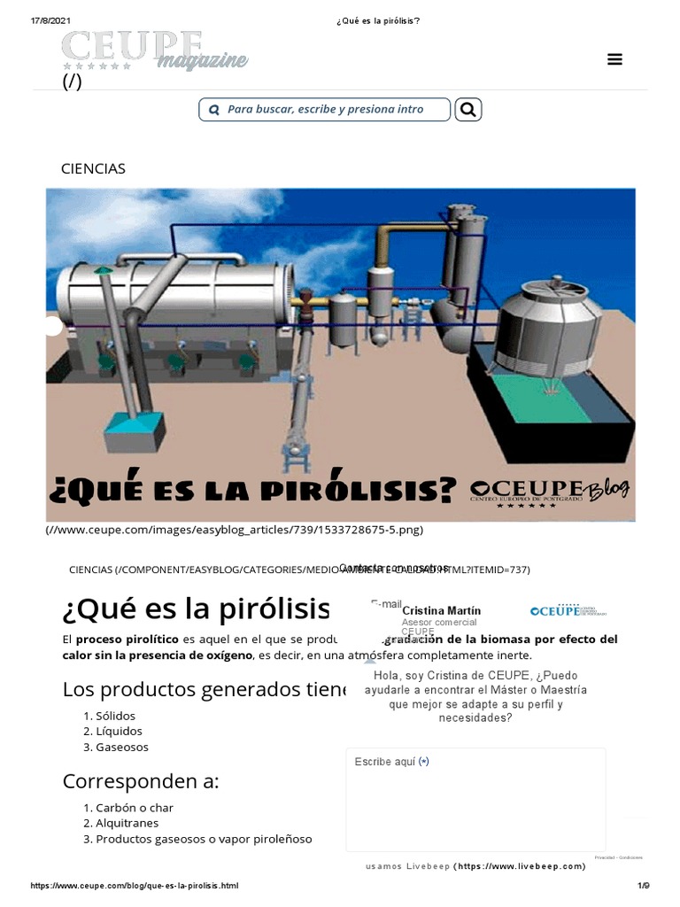 Tipos y Proceso de Pirólisis | PDF | Biomasa | Pirólisis