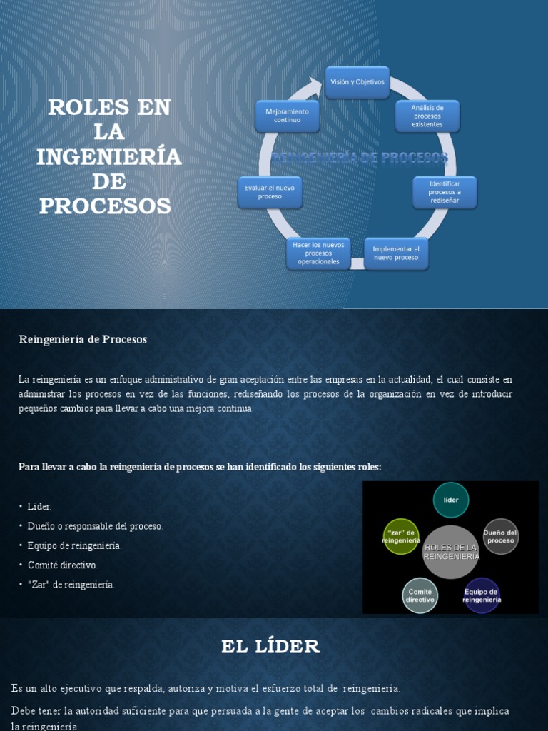 Presentaci N 3 Roles en La Ingenier A de Procesos - 3 | PDF | Economias | Business