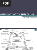 Completed Upper Extremity Rom Norms Sheet 1 | PDF | Anatomical Terms Of ...