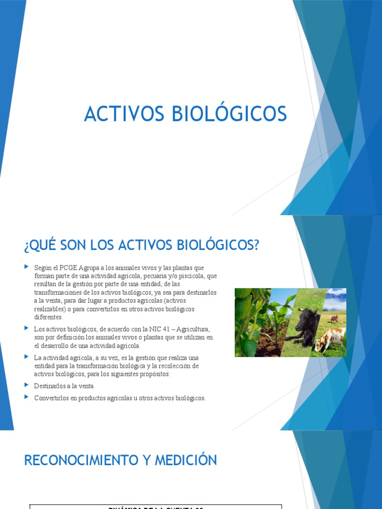 Activos Biológicos | PDF | Agricultura | Economias