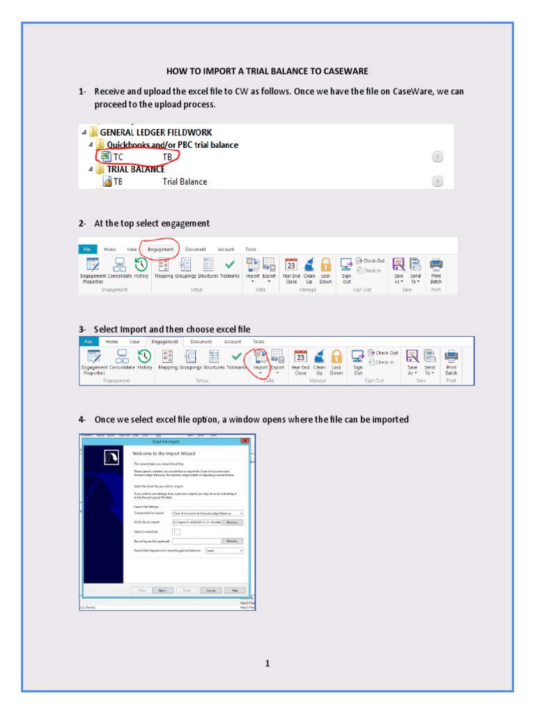 2 - Import Trial Balance On Caseware - Tutorial | PDF