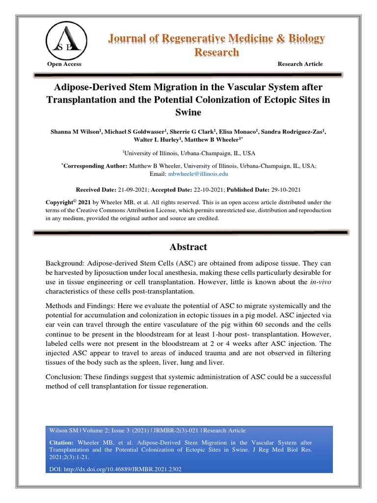 Adipose Derived Stem Migration in The Vascular System After ...