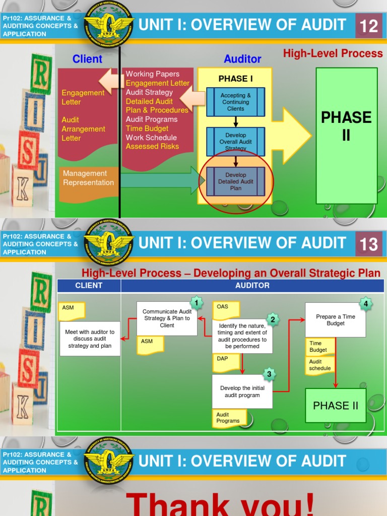 Detailed Audit Plan | PDF | Audit | Financial Services