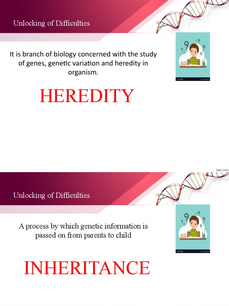 Genetics Basics for Students | PDF | Dominance (Genetics) | Heredity
