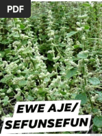 Ewe Fa | PDF | Plants | Botany
