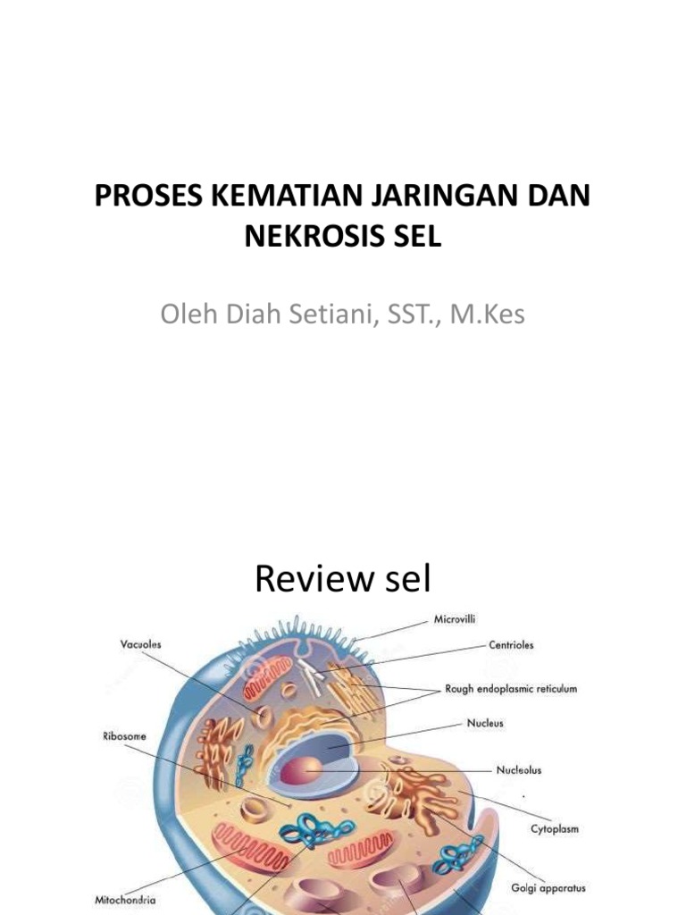Tahap Kematian Jaringan Dan Nekrosis Sel | PDF