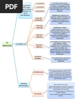 Modelo de Sohlberg y Mateer | PDF | Ciencia y matemáticas