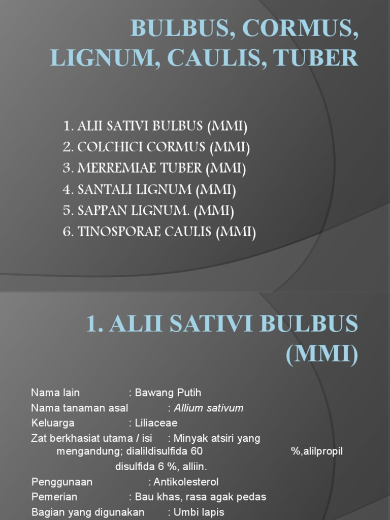 Simplisia Bulbus dan Lignum Herbal | PDF