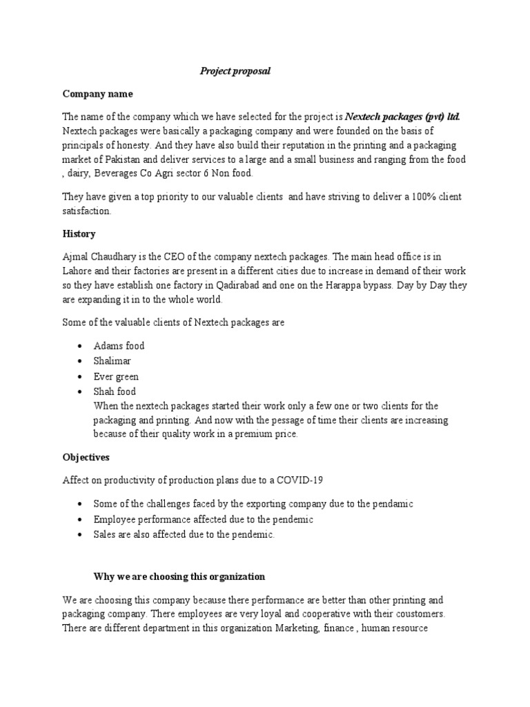 Company Name: Project Proposal | PDF