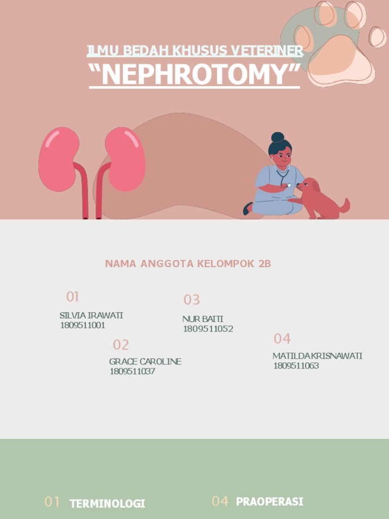 "NEPHROTOMY" - Kelompok 2 - Kelas B | PDF