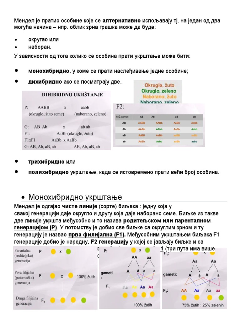 Osnove Genetike | PDF
