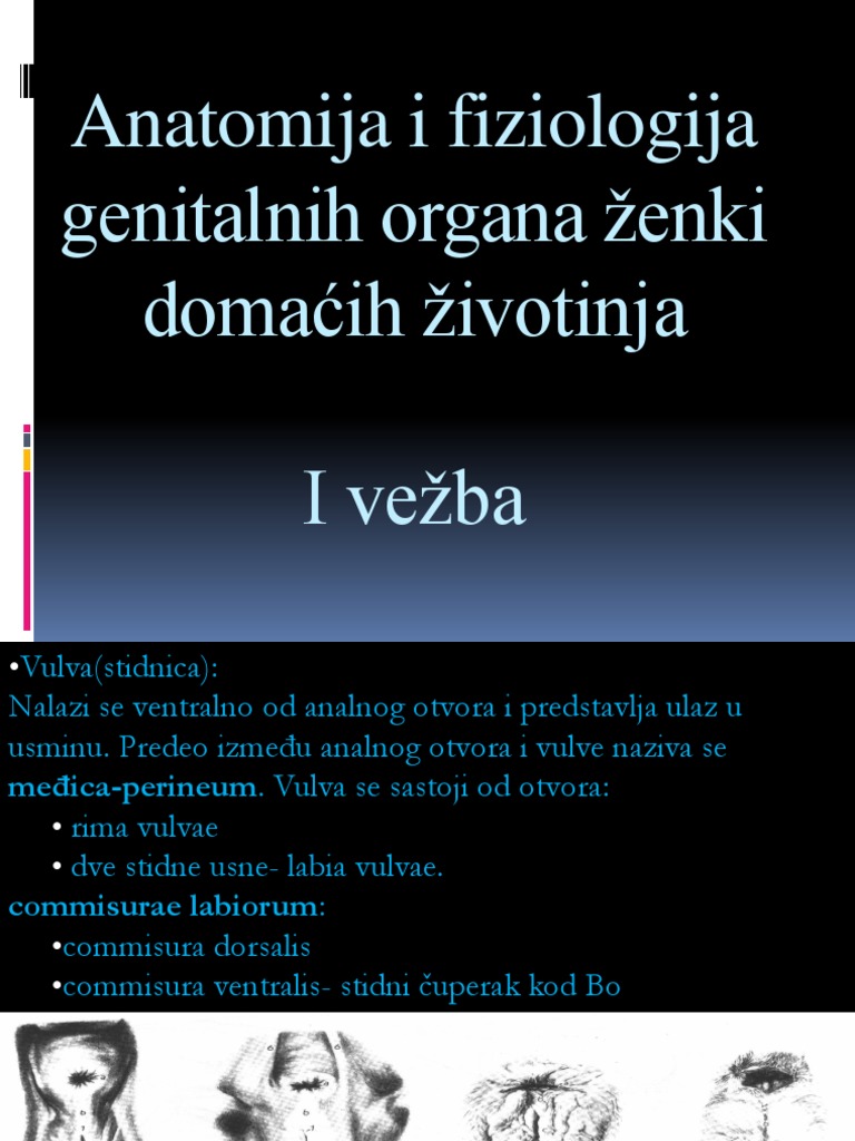 I Vezba | PDF