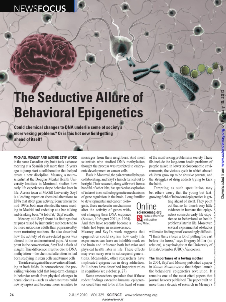 Behavioral Epigenetics Unveiled | PDF | Memory | Epigenetics